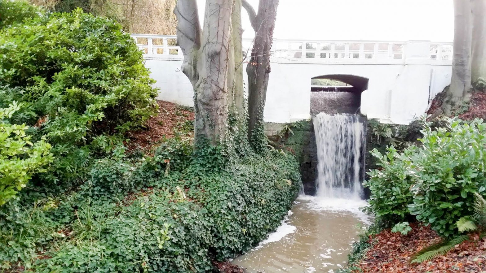 The Sandsend and Hutton Mulgrave walk along the Yorkshire Coast ...