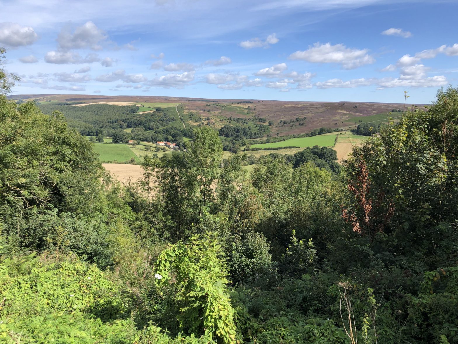 The Kirkbymoorside and Gillamoor Walk in Northern England - Paul Beal Walks