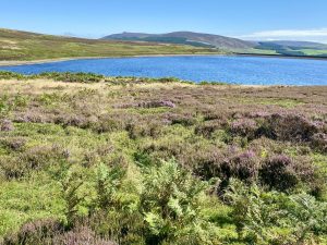 The Embsay and Barden Moor Walk in Northern England - Paul Beal Walks