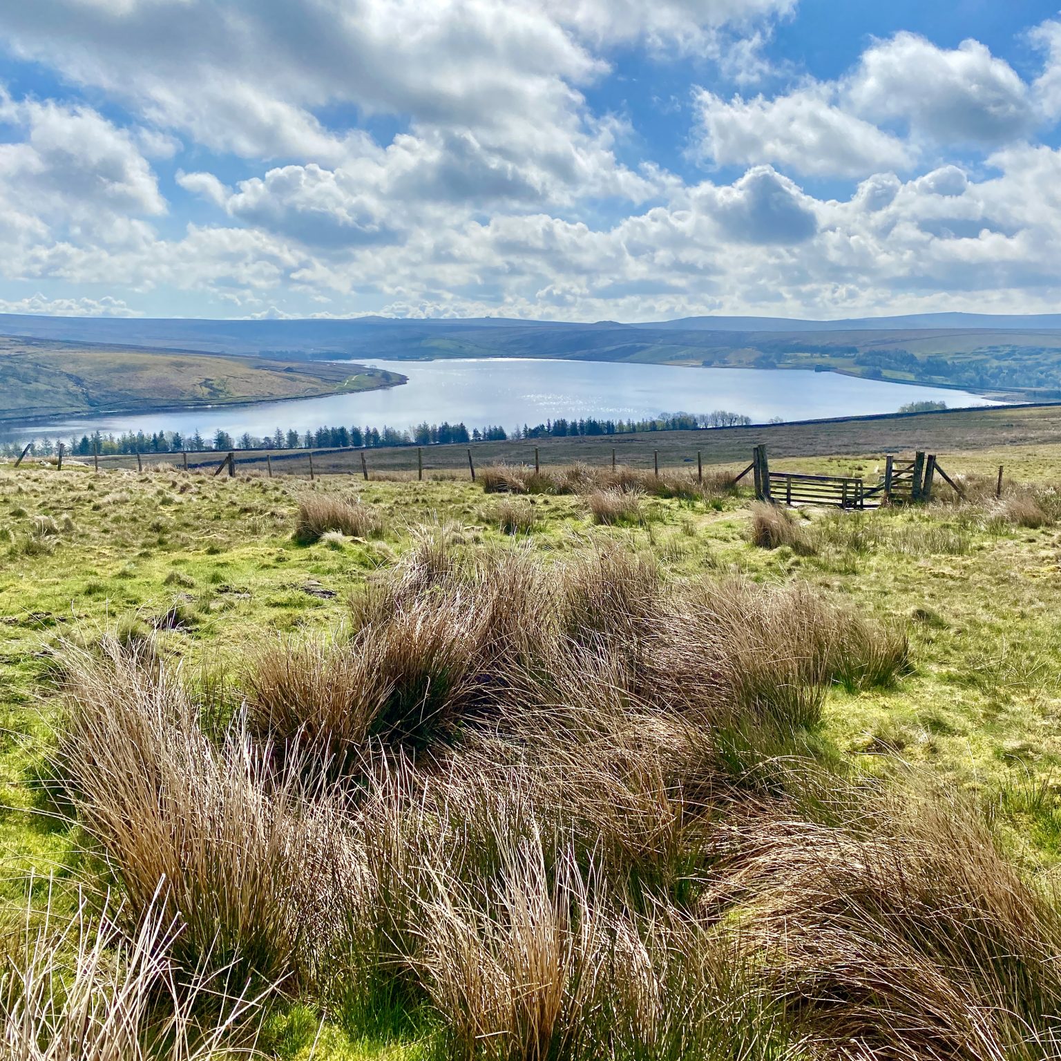 The Hebden and Trollers Gill Walk in the Yorkshire Dales - Paul Beal Walks