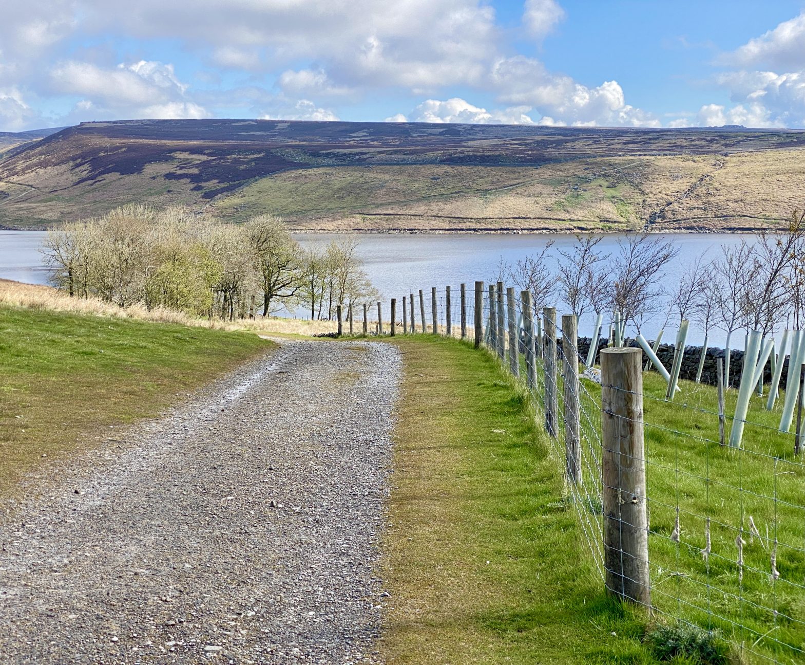 The Hebden and Trollers Gill Walk in the Yorkshire Dales - Paul Beal Walks