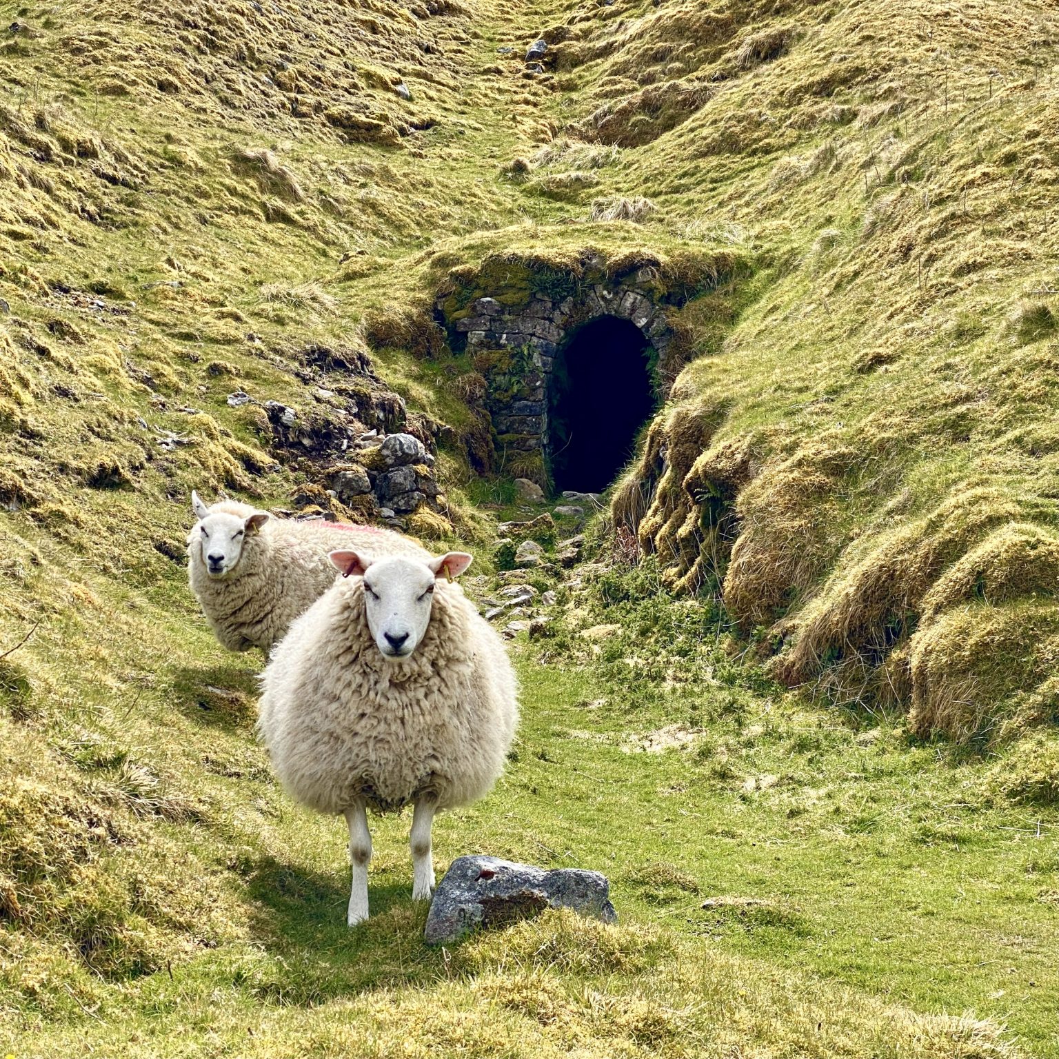 The Hebden and Trollers Gill walk in the Yorkshire Dales - Paul Beal Walks