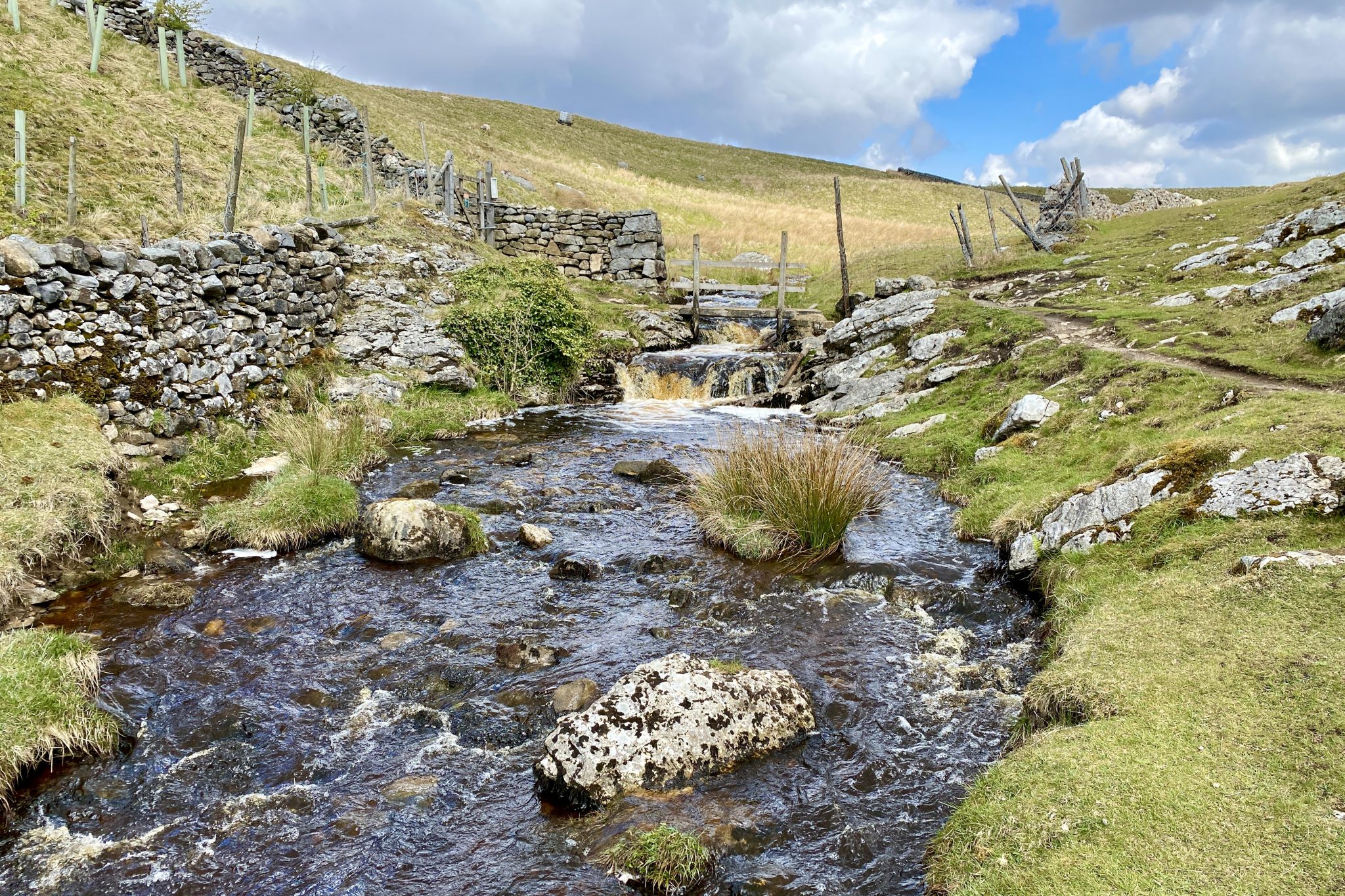 The Hebden and Trollers Gill walk in the Yorkshire Dales – Walking with ...
