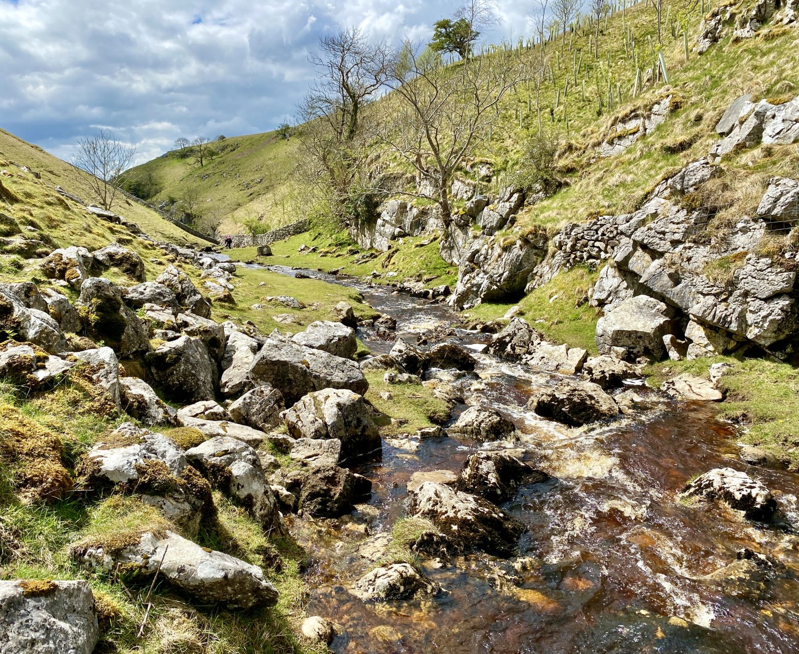 The Hebden and Trollers Gill walk in the Yorkshire Dales – Walking with ...