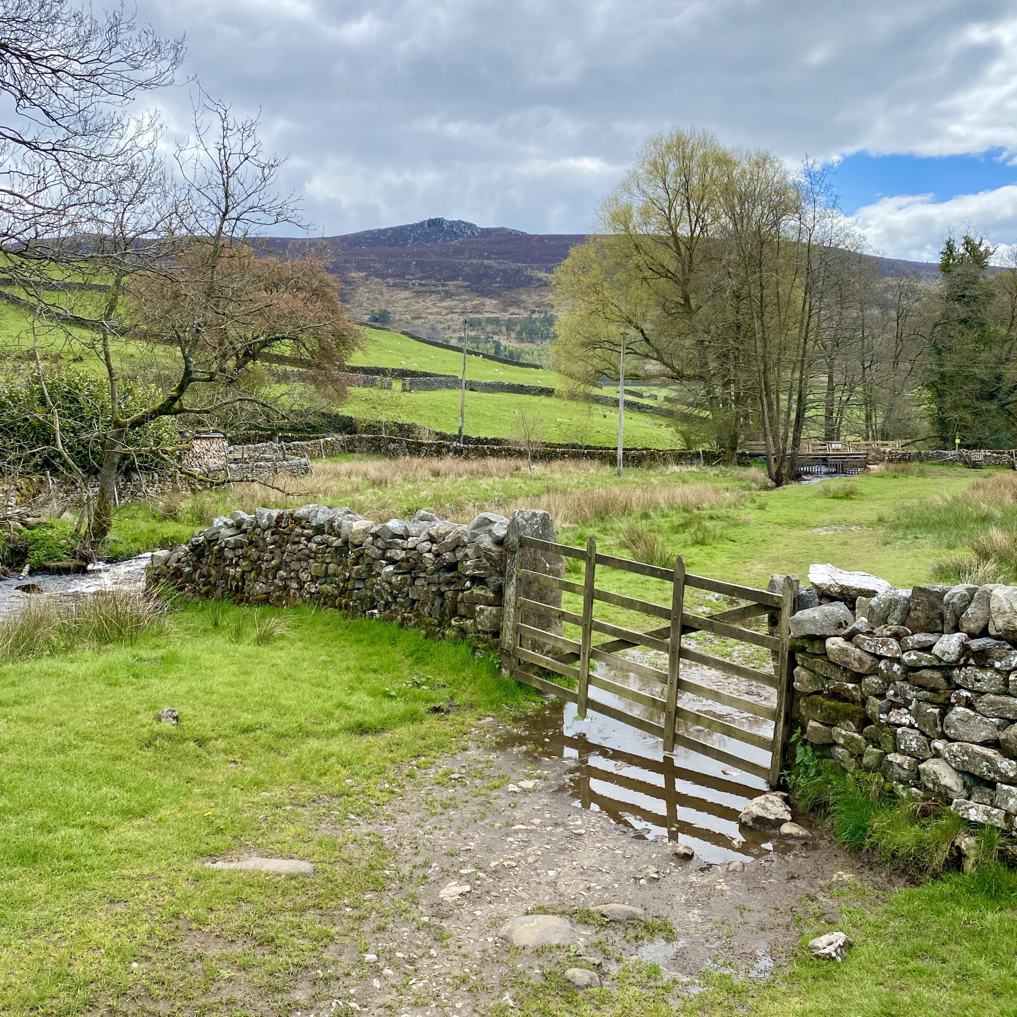 The Hebden and Trollers Gill walk in the Yorkshire Dales – Walking with ...