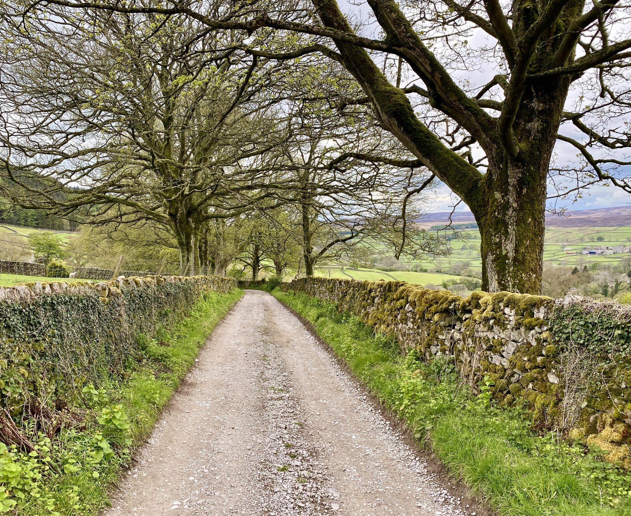 The Hebden and Trollers Gill walk in the Yorkshire Dales – Walking with ...