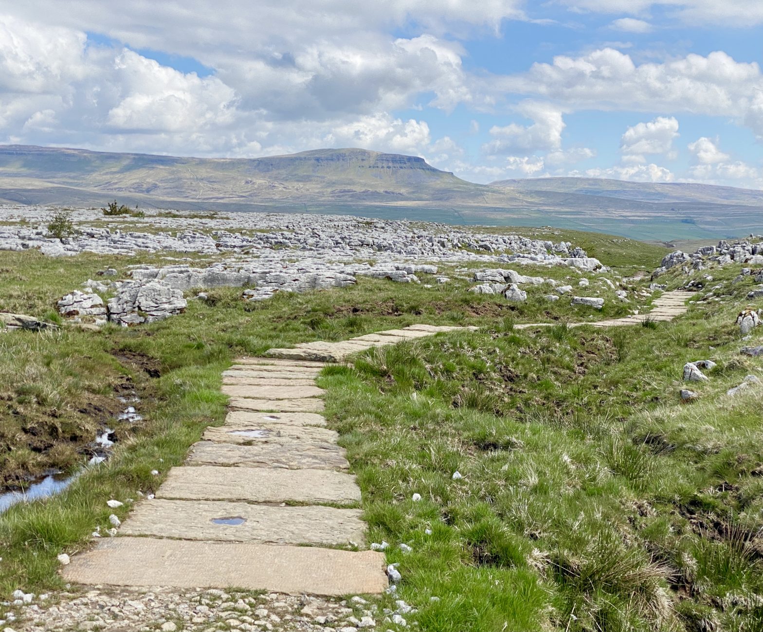 The Gauber and Ingleborough National Nature Reserve Walk in the ...