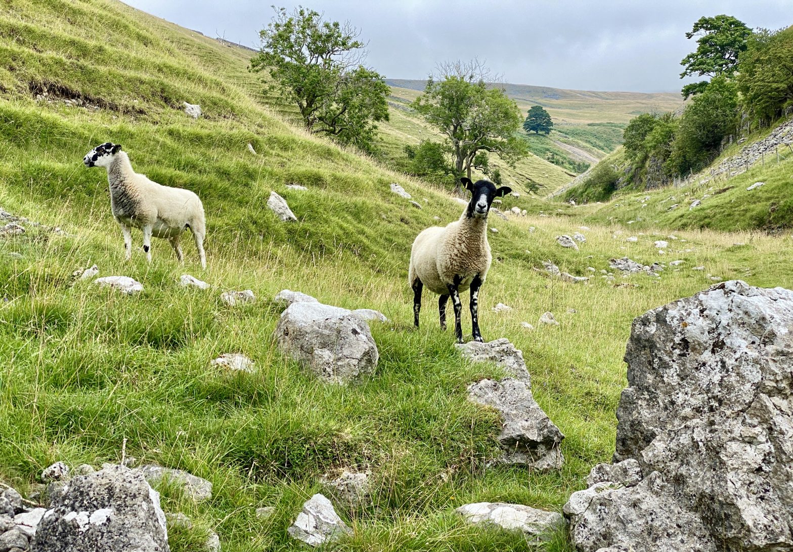 The Kettlewell and Great Whernside Walk in the Yorkshire Dales - Paul ...