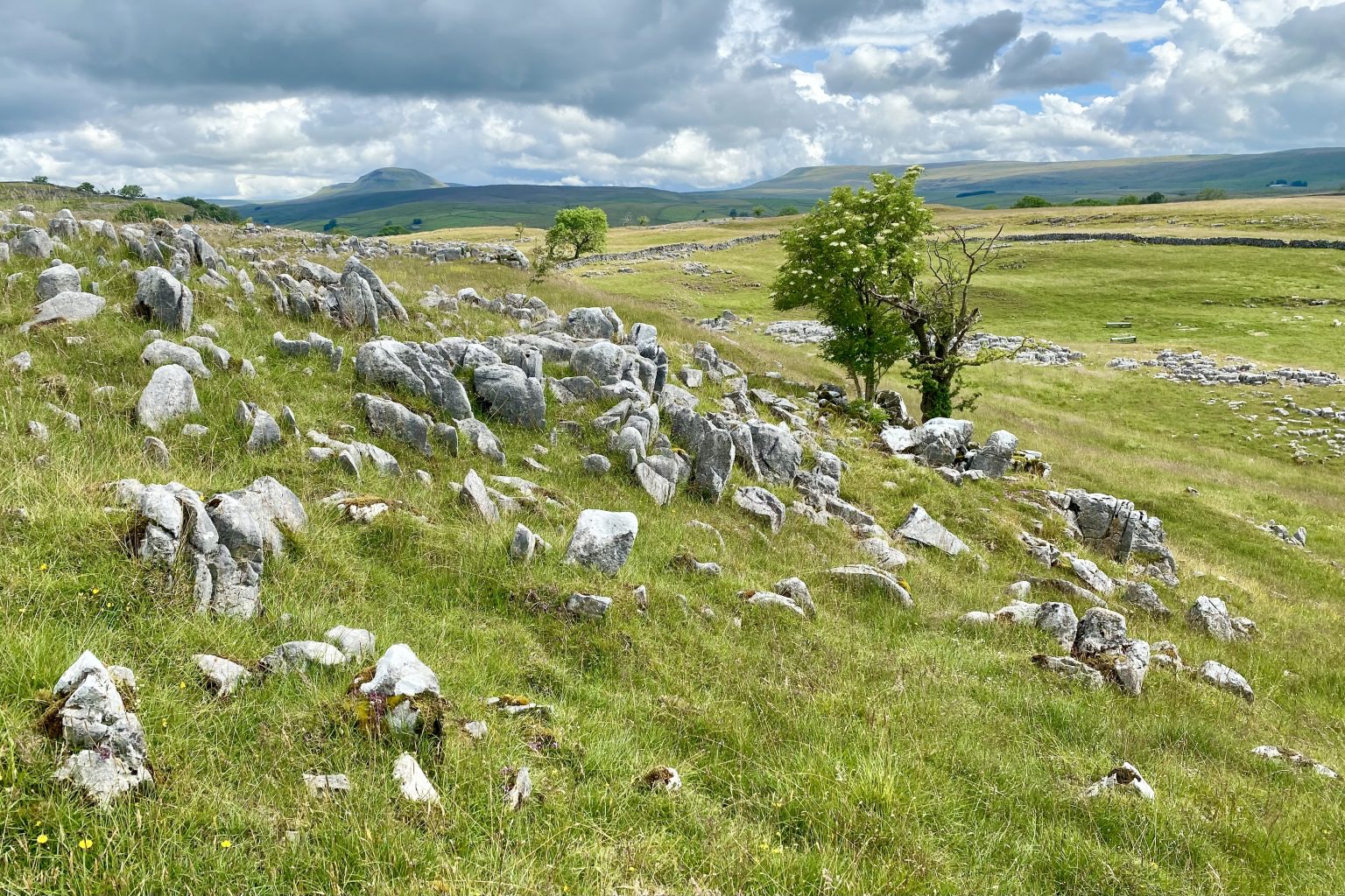 The Langcliffe and Austwick Walk in the Yorkshire Dales - Paul Beal Walks