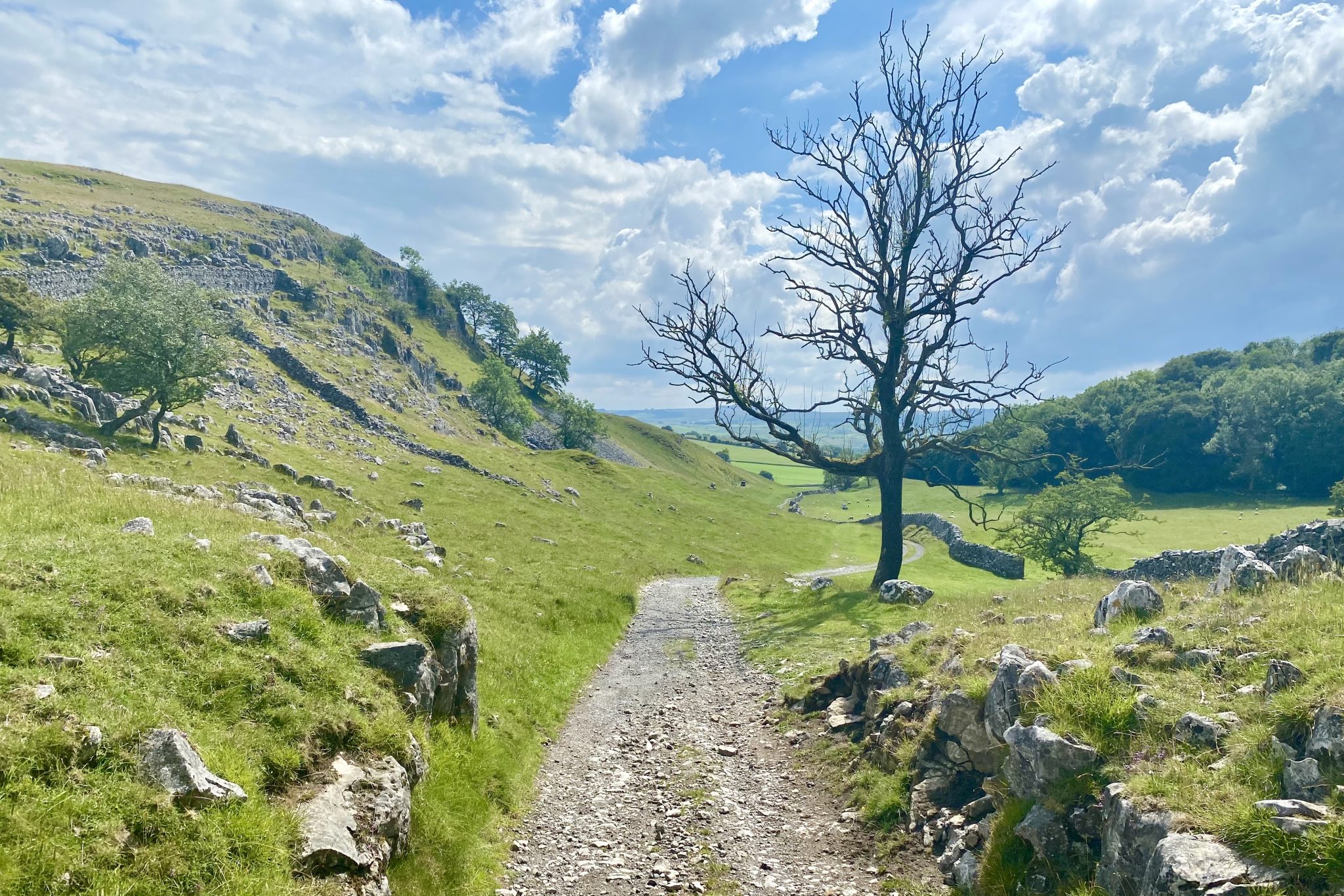 The Langcliffe and Austwick Walk in the Yorkshire Dales - Paul Beal Walks