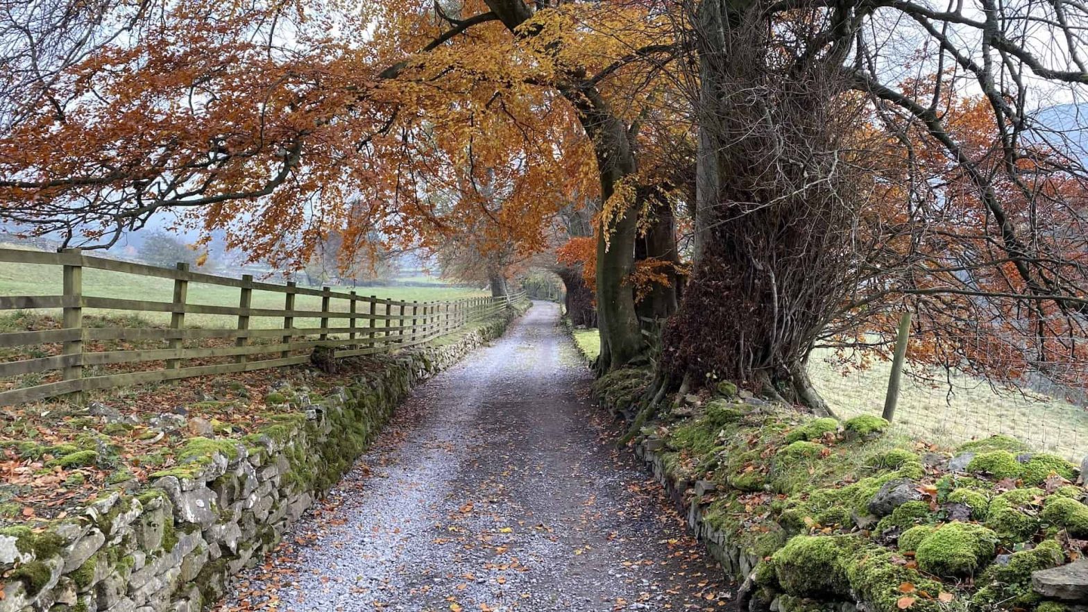 The Best Walks in Yorkshire and Cumbria: Trails for Every Hiker