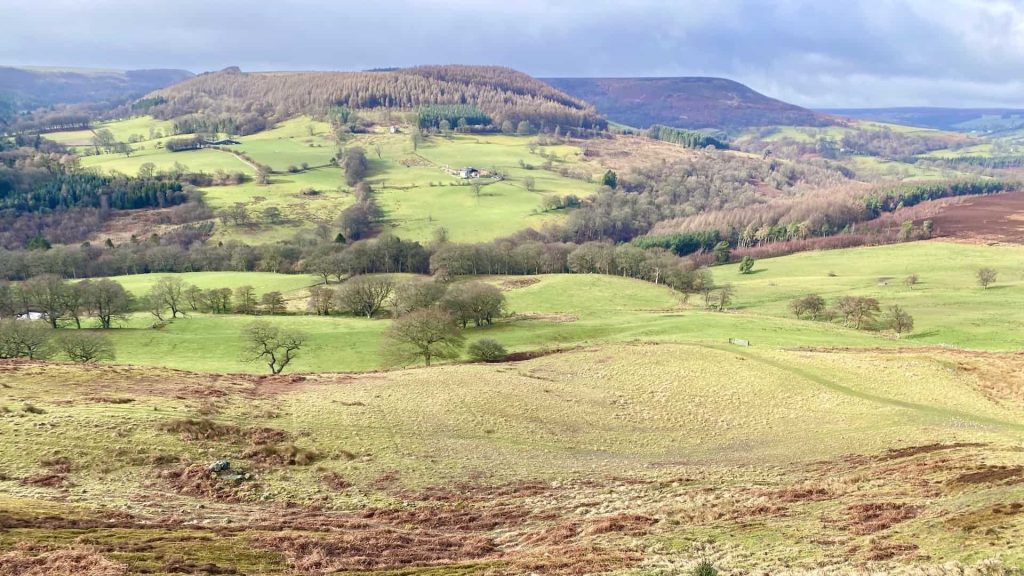 North York Moors Walks: Ancient Woodlands and Scenic Paths