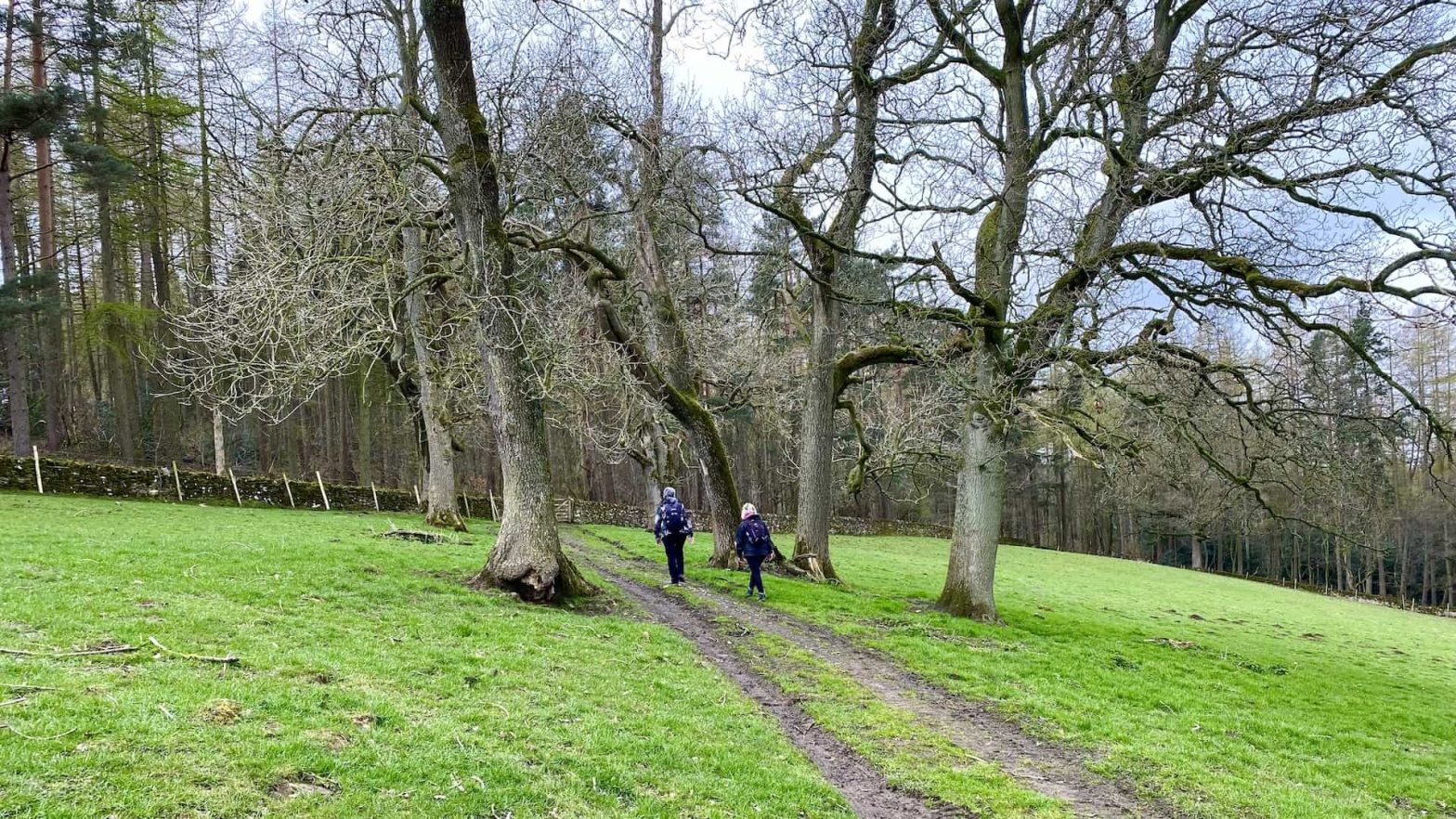 Northern England Walks: Scenic Countryside Routes