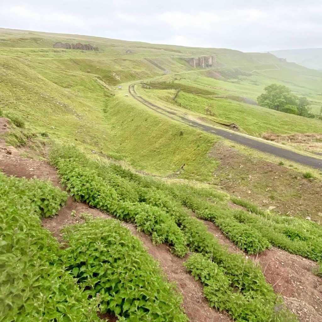 Rosedale Railway: Ironstone Mining Legacy in North York Moors