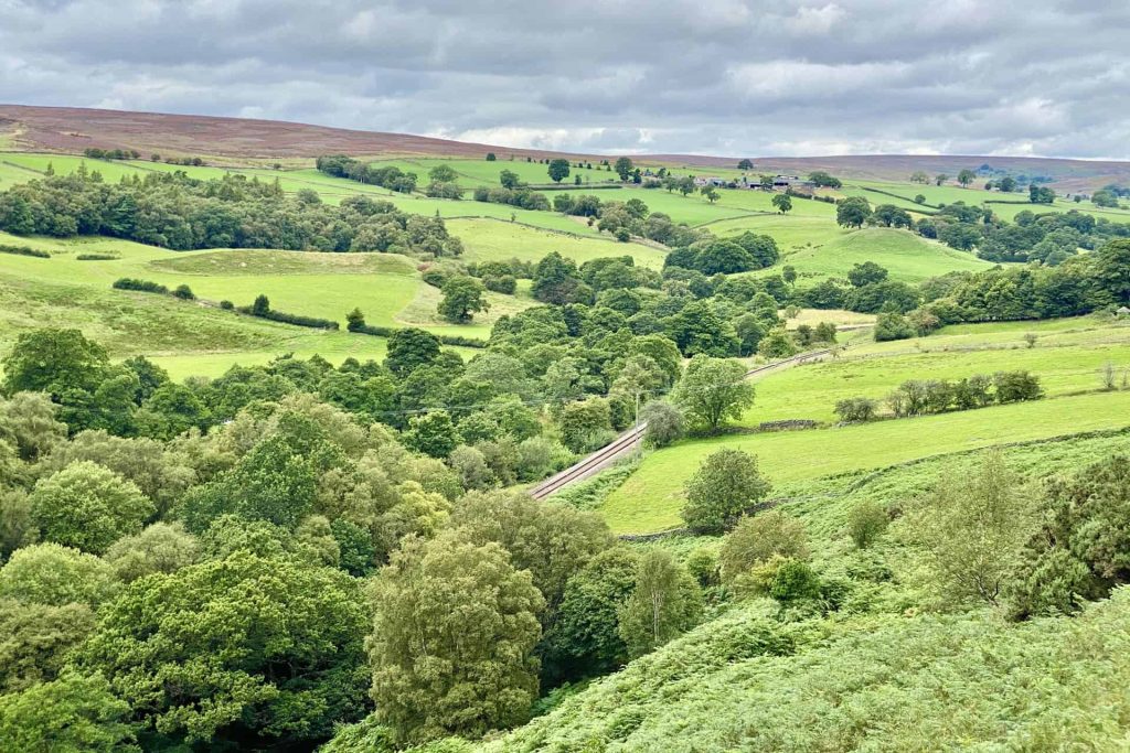 Best Walks in the North York Moors: 17 Scenic Routes to Explore