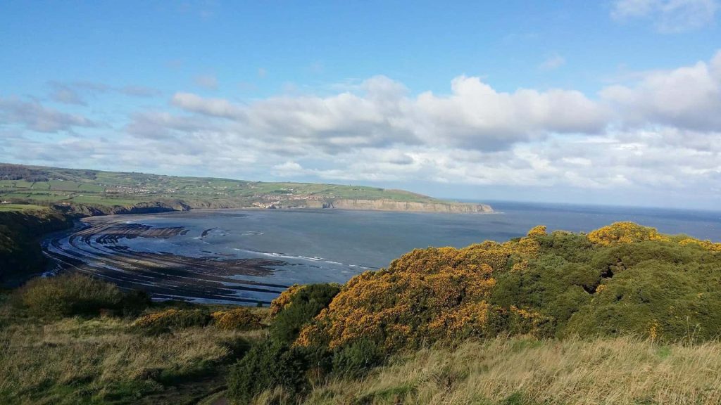 Best Walks in the North York Moors: 17 Scenic Routes to Explore