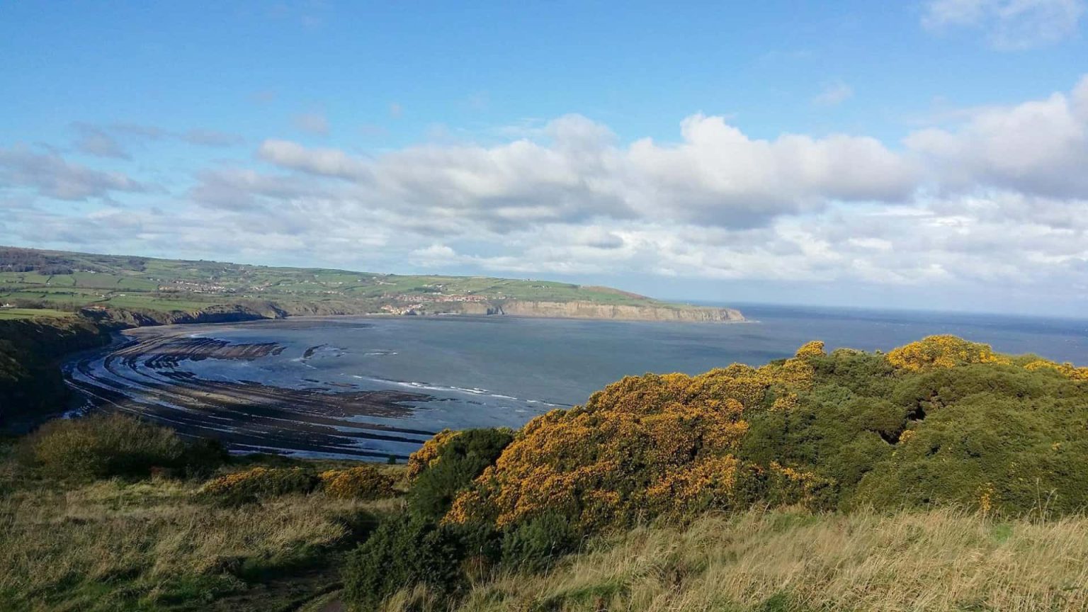 Best Walks in the North York Moors: 17 Scenic Routes to Explore