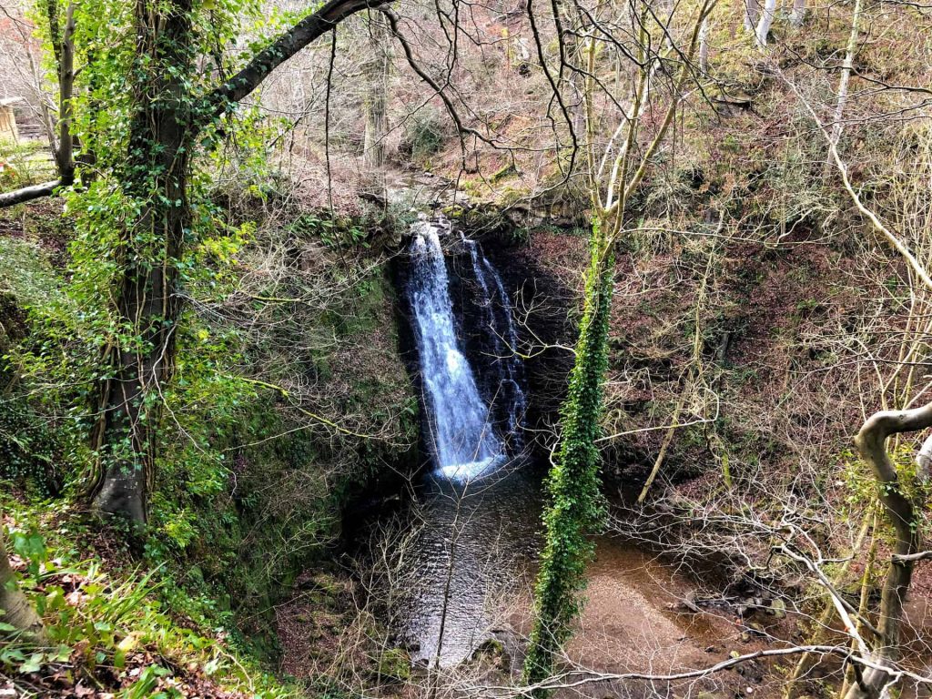 Best Walks in the North York Moors: 17 Scenic Routes to Explore