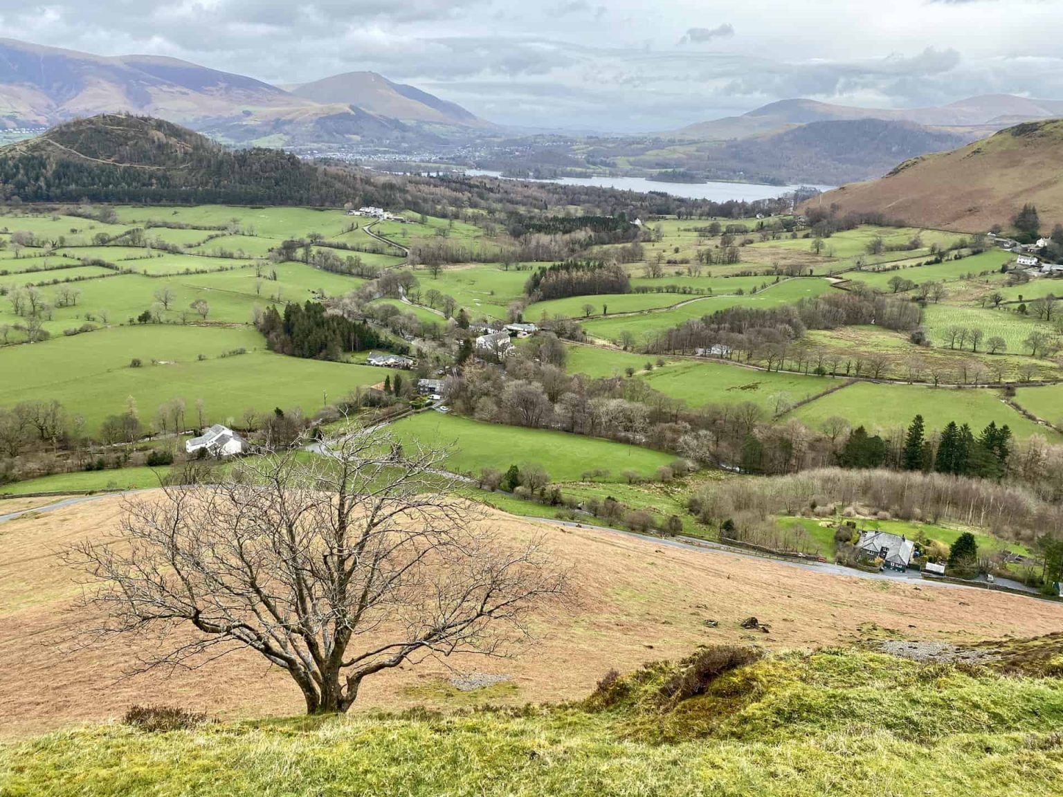 Causey Pike Walk: From Braithwaite, Featuring Sail and Crag Hill