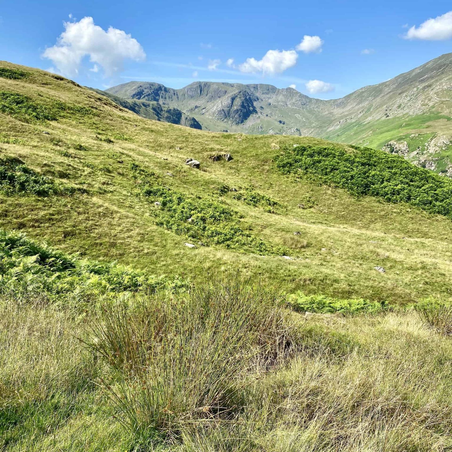Hart Crag Walk: Scenic Tour of Hartsop above How and Dove Crag