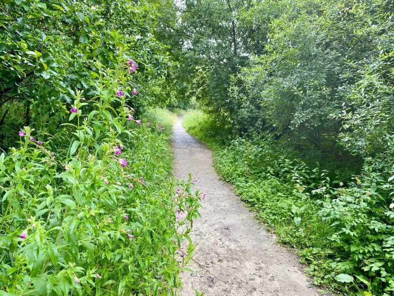 Fewston Reservoir Circular Walk: Great for Beginners and Children