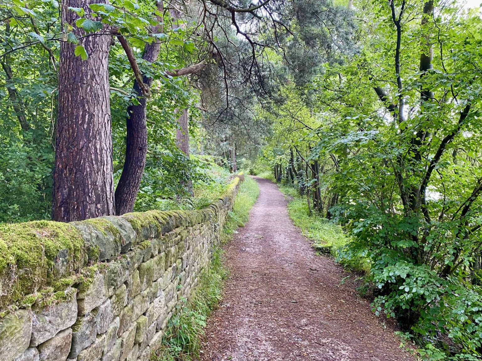 Fewston Reservoir Circular Walk: Great for Beginners and Children