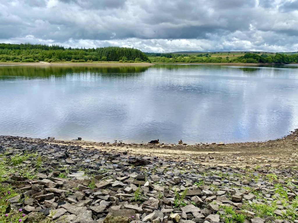 Swinsty Reservoir Walk: Experiencing Fewston Reservoir En Route