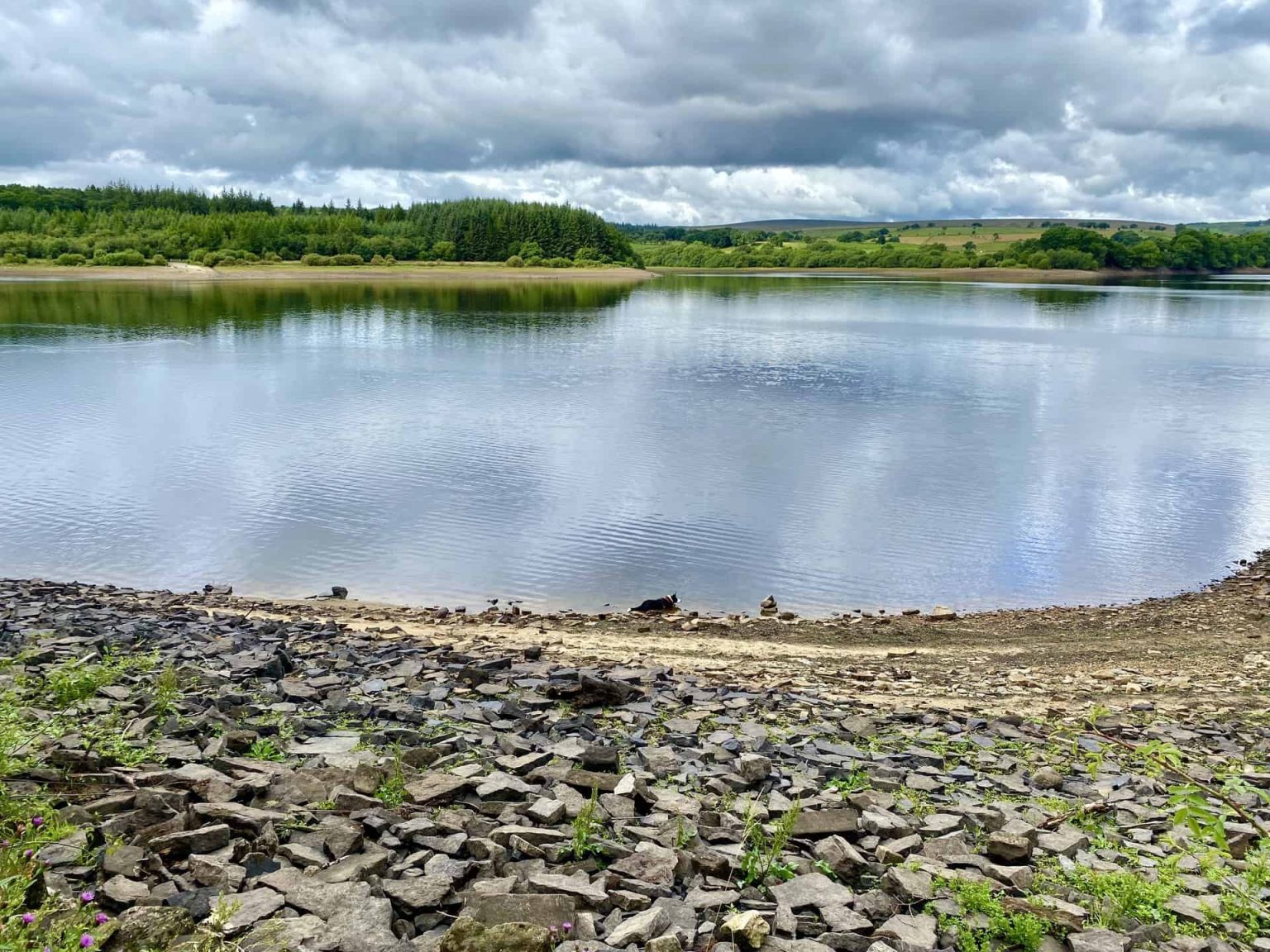 Fewston Reservoir Circular Walk: Great for Beginners and Children