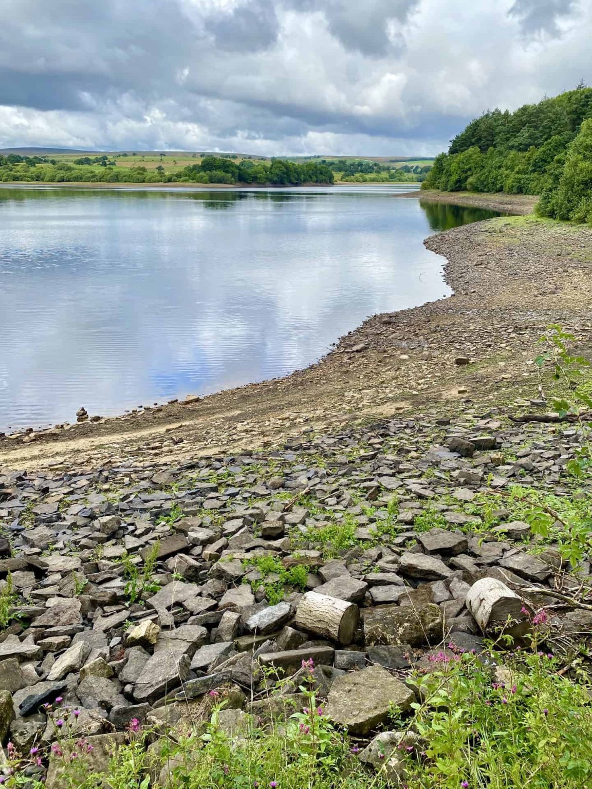 Fewston Reservoir Circular Walk: Great for Beginners and Children