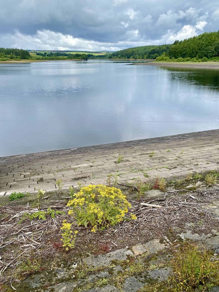 Fewston Reservoir Circular Walk: Great for Beginners and Children