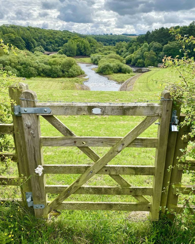Swinsty Reservoir Circular Walk: A Top Leisurely Stroll for All Ages