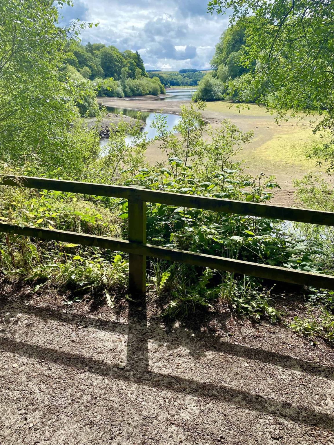 Swinsty Reservoir Circular Walk: A Top Leisurely Stroll for All Ages