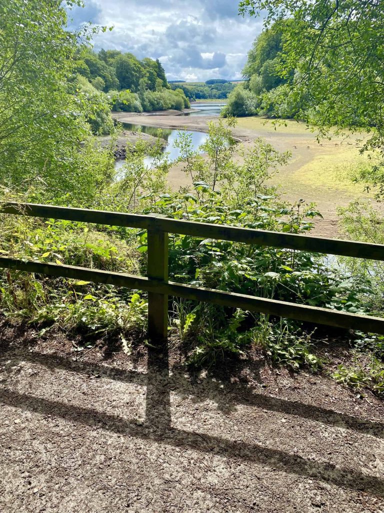 Swinsty Reservoir Circular Walk: A Top Leisurely Stroll for All Ages