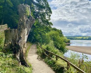Swinsty Reservoir Circular Walk: A Top Leisurely Stroll for All Ages