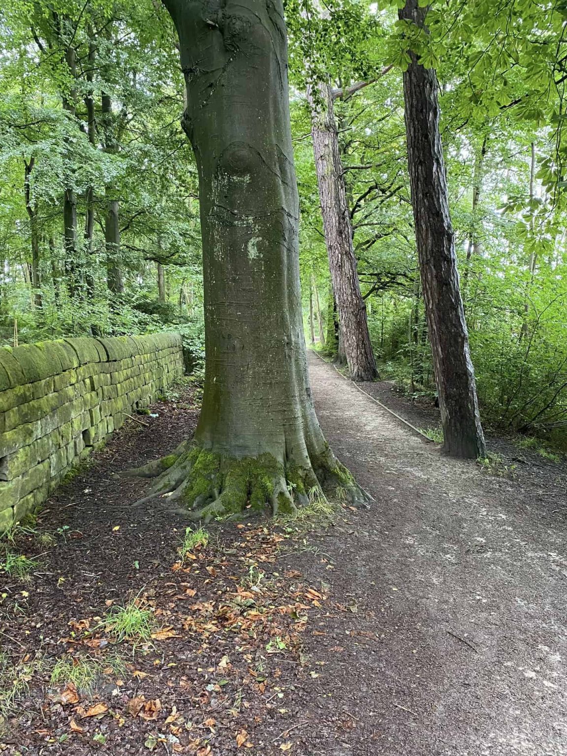 Swinsty Reservoir Walk: Experiencing Fewston Reservoir En Route
