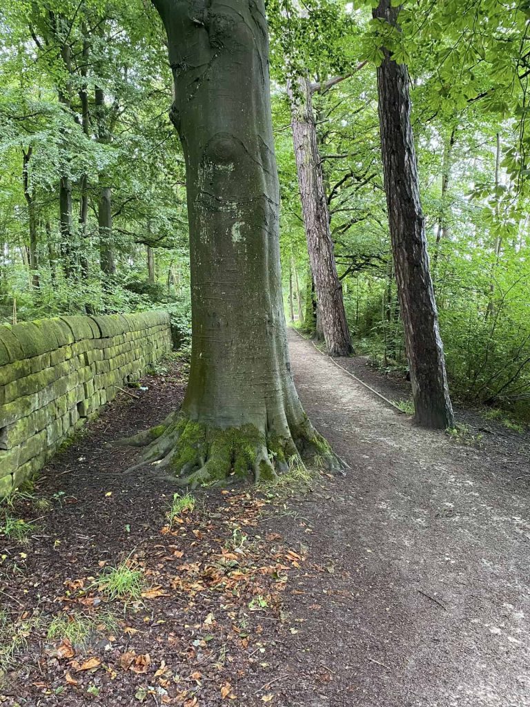 Swinsty Reservoir Circular Walk: A Top Leisurely Stroll for All Ages