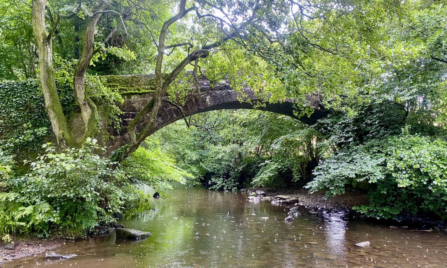 Fewston Reservoir Walk: Discovering Swinsty Reservoir and More