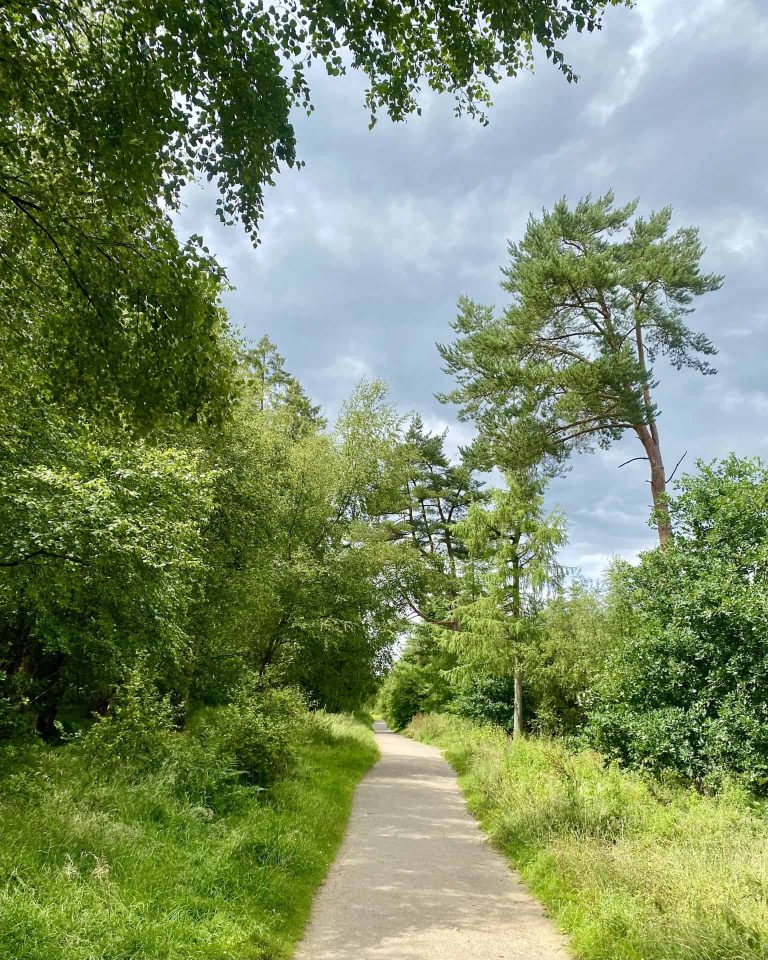 Swinsty Reservoir Circular Walk: A Top Leisurely Stroll for All Ages