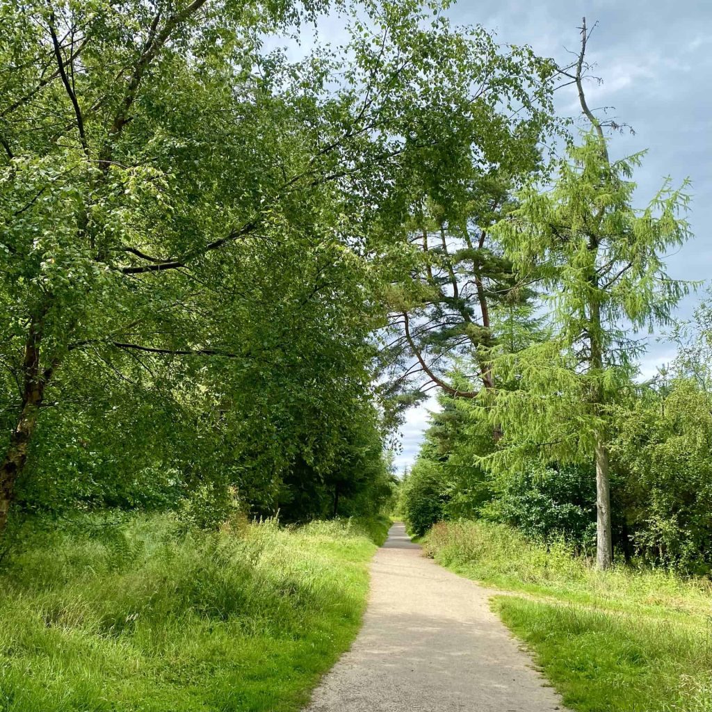 Swinsty Reservoir Circular Walk: A Top Leisurely Stroll for All Ages