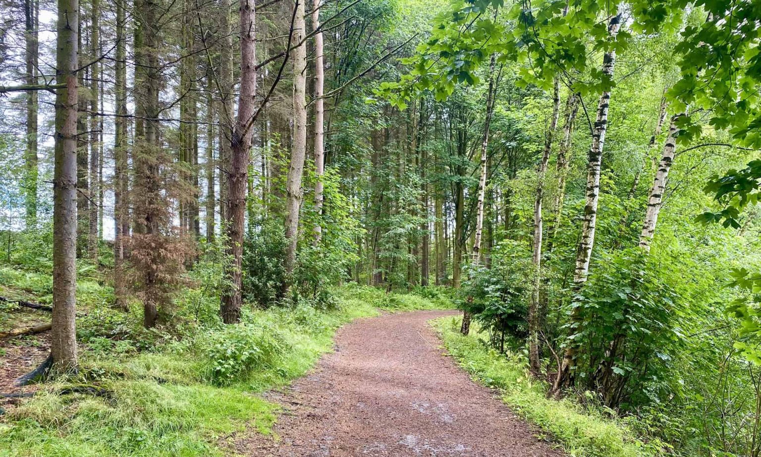 Fewston Reservoir Circular Walk: Great for Beginners and Children