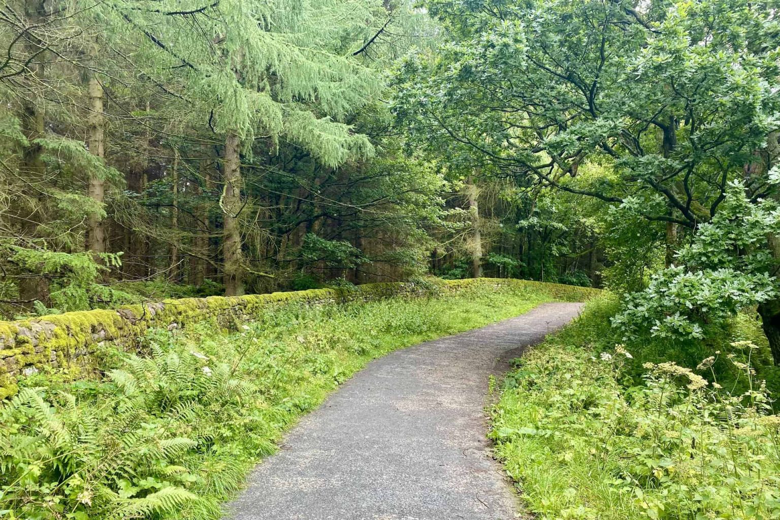 Swinsty Reservoir Walk: Experiencing Fewston Reservoir En Route