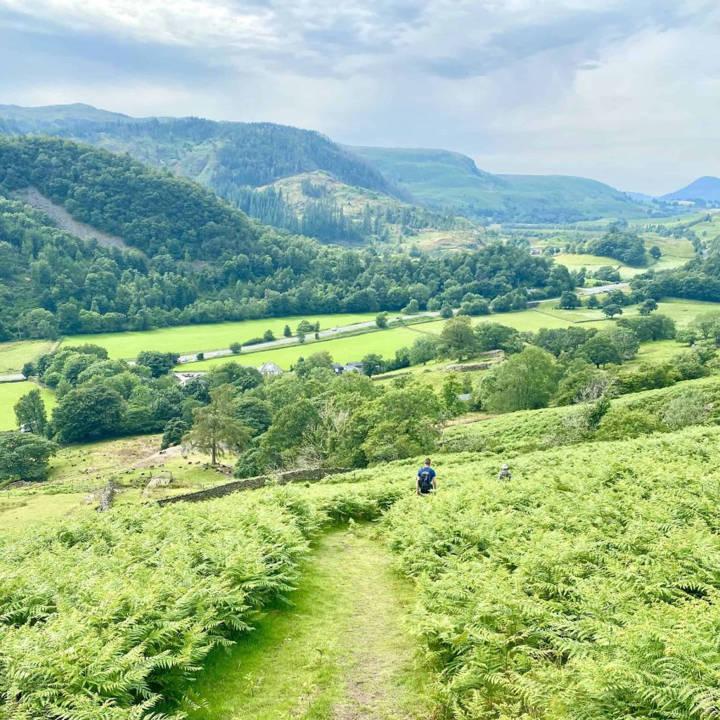Great Dodd Walk: Featuring Watson's Dodd and Stybarrow Dodd