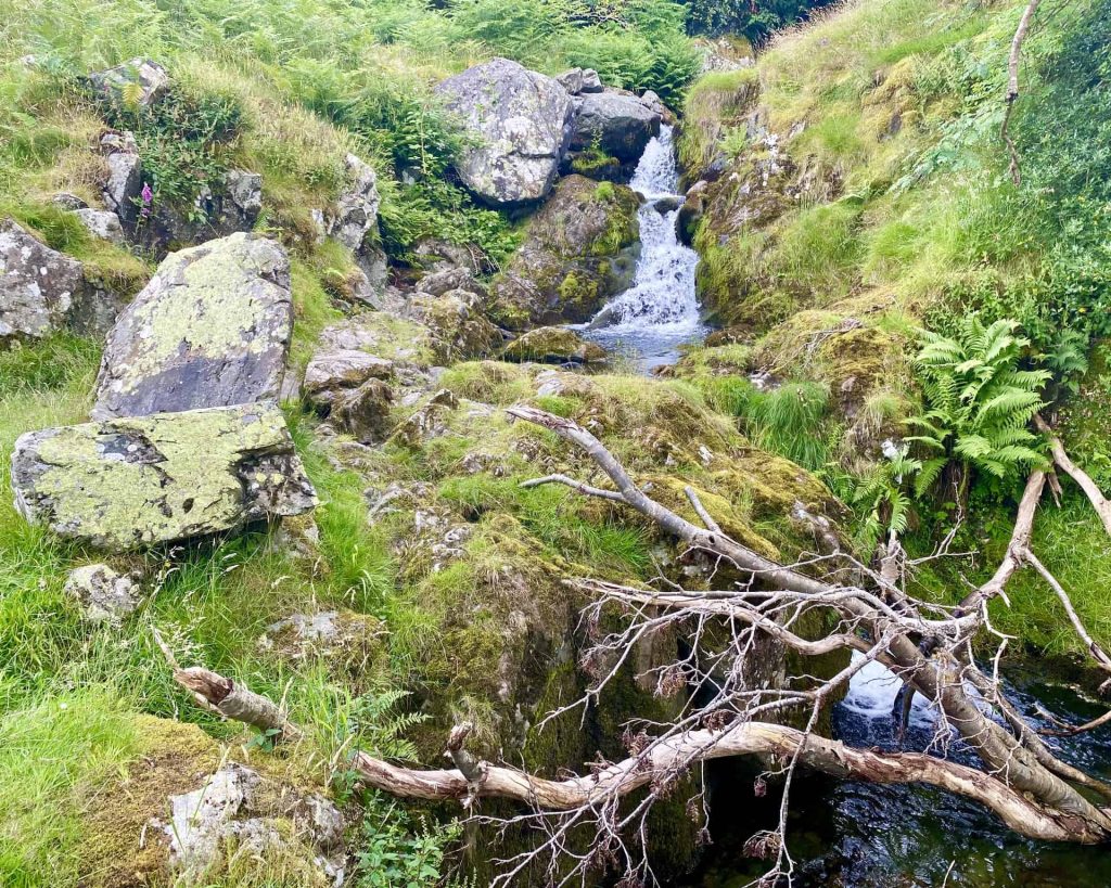 Great Dodd Walk: Featuring Watson's Dodd and Stybarrow Dodd