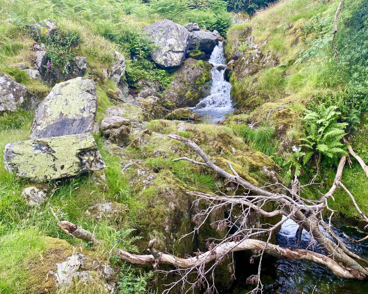 Great Dodd Walk: Featuring Watson's Dodd and Stybarrow Dodd
