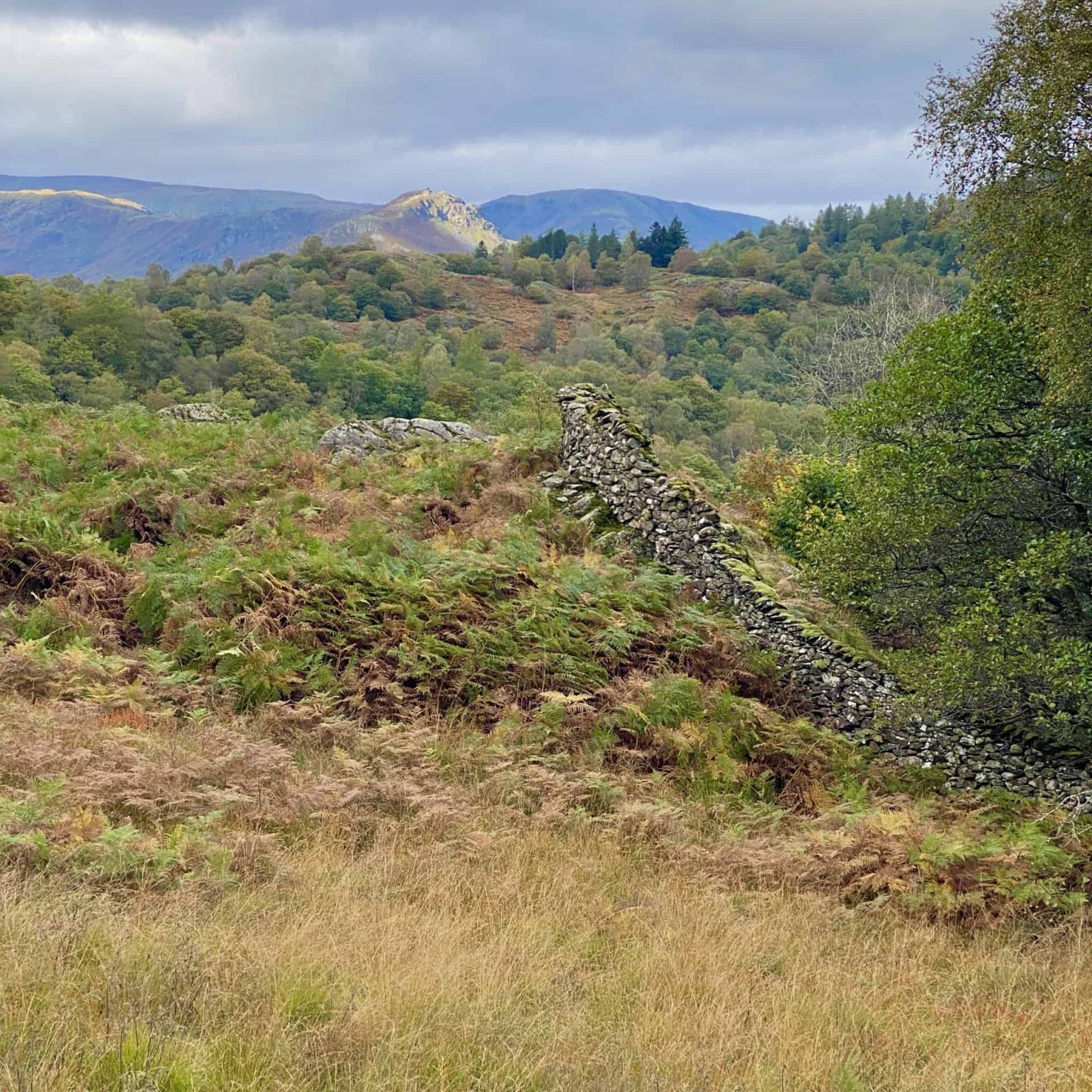 Map of Wainwrights: Interactive Guide to All 214 Lake District Fells