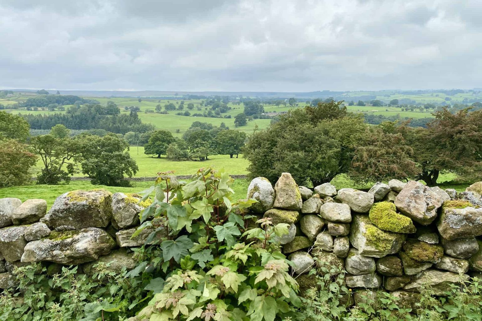 Nidderdale Walk: Discover Lumley Moor Reservoir and Dallowgill