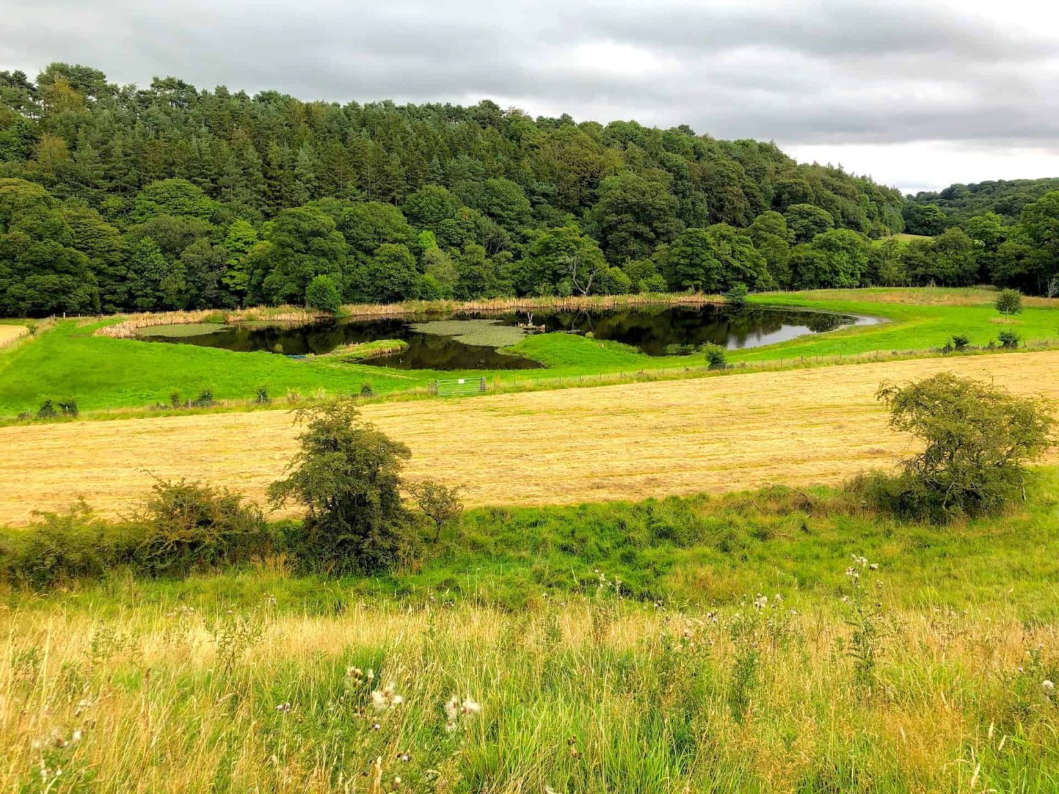 Barnard Castle Walk: The River Tees, Cotherstone, and Romaldkirk