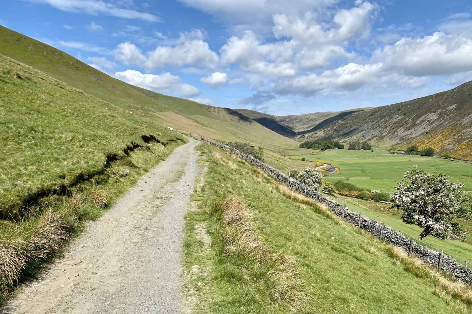 Carrock Fell Walk: From Coomb Height to High Pike Panoramas