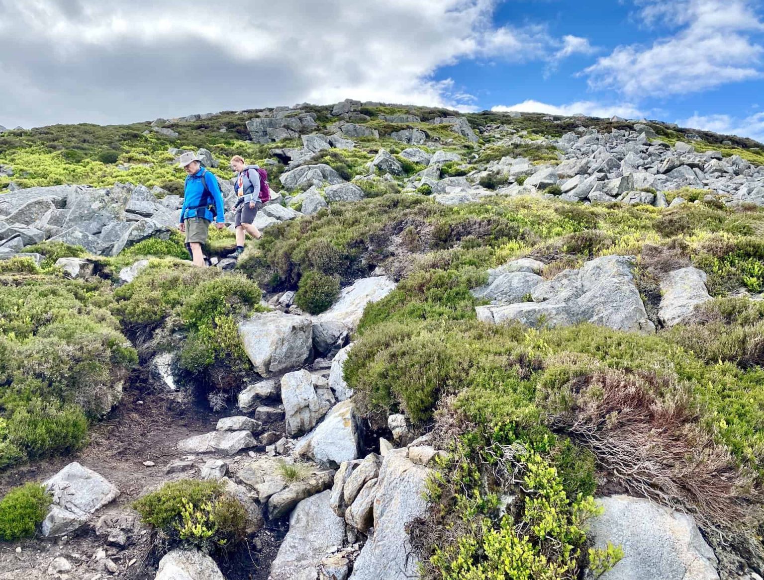 Carrock Fell Walk: From Coomb Height to High Pike Panoramas