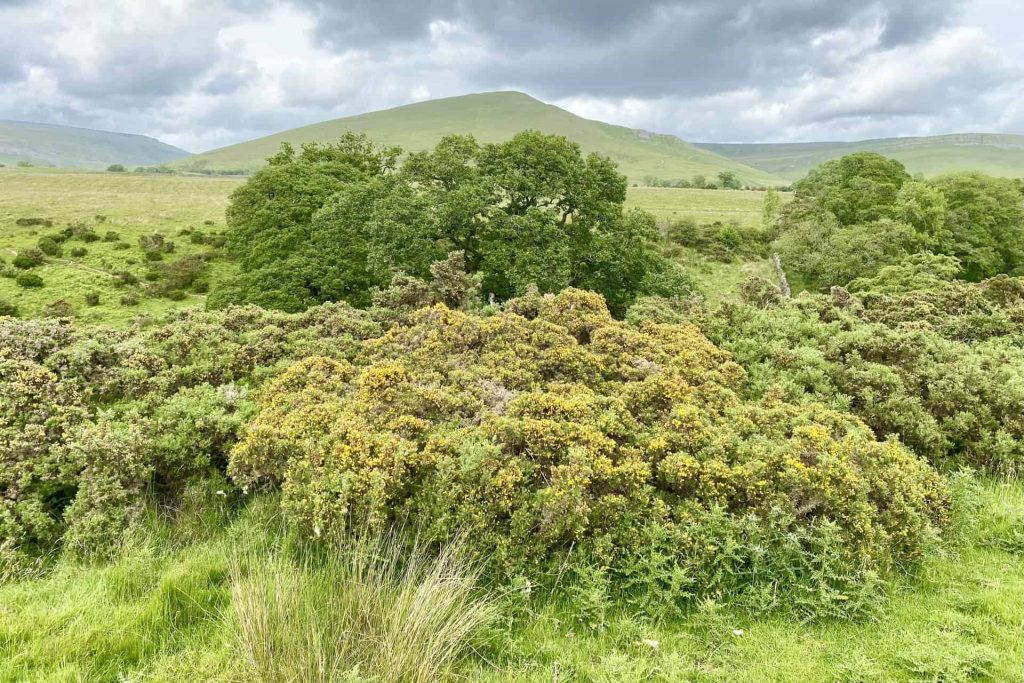 High Cup Nick: Circular Walk from Murton Including Murton Pike